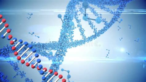 Animation Of Molecules And Math Formulas On Black Background Stock Video Video Of Black