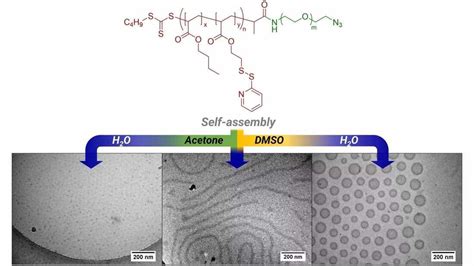 Self Assembly Of Polymers