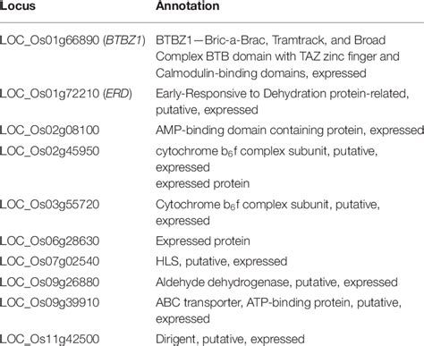 Salt Tolerant Genes Consistently Predicted By Gcn Cc And Wgcn Download Scientific Diagram