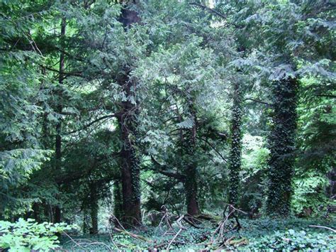 ბაწარის ნაკრძალი