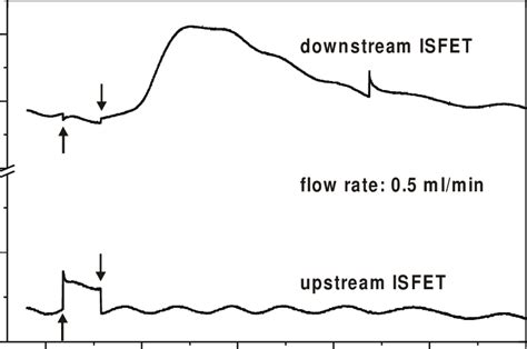 Flow Direction Measurement With An Upstream And Downstream Placed Isfet Download Scientific