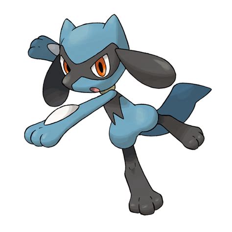リオル Pkm Wiki Fandom