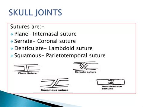 Osteology Of Head N Neck Ppt 1 Pptx