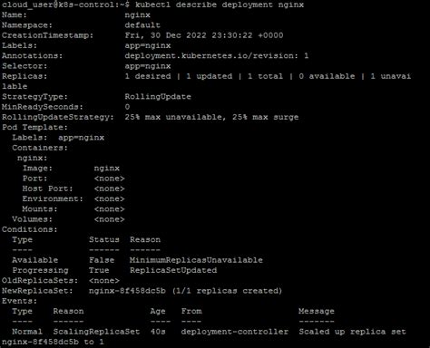 deploying an nginx image with kubernetes phillipe williams medium