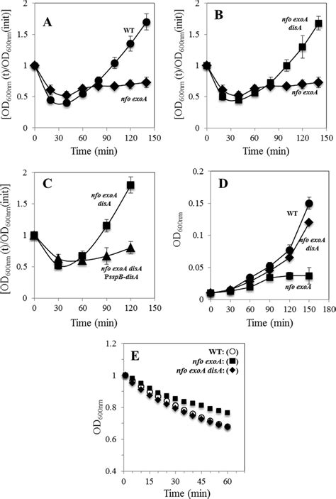 Germination And Outgrowth Of Spores Of Different B Subtilis Strains Download Scientific
