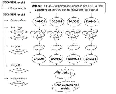 Mining Complex Gene Expression Across The Tree Of Life Pegasus Wms