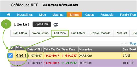Softmouse Faq Tag Sex And Genotype Multiple Litters At A Time