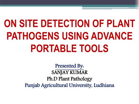 Detection Of Plant Pathogens Pptx