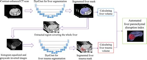 The Workflow Of The Proposed Deep Learning Method For Automated
