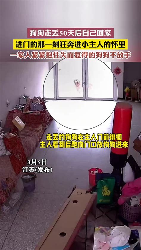 一家都是善良的人才会这么爱这个毛孩子