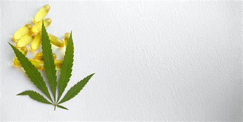 의료 대마초 제품 잎 흰색 배경에 캡슐 Cbd 오일 생물학적 식물 허브와 제약 젤라틴 소프트젤 유기농 식이 보조 식품 개념 Thc에 대한 스톡 사진 및 기타 이미지 Istock