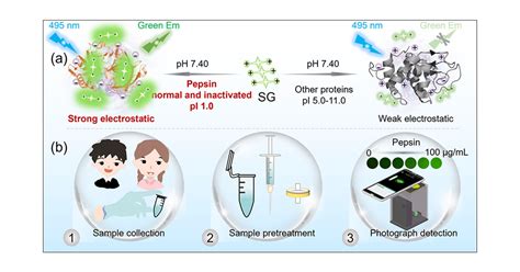 Portable And Rapid Fluorescence Turn On Detection Of Total Pepsin In Saliva Based On Strong