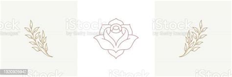 보헤미안 리니어 스타일 벡터 일러스트 세트로 꽃이 피는 로즈 부드러운 천연 꽃과 나뭇가지 장미에 대한 스톡 벡터 아트 및 기타