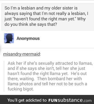 Finding The Right Llama Is Tough FunSubstance