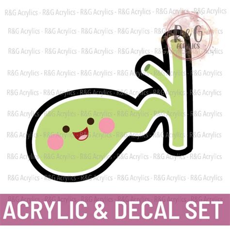 Cute Gallbladder Acrylic And Decal Combo Etsy