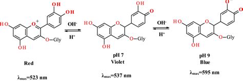 The Chemical Structures Of Anthocyanin At Various PH Values Wrolstad