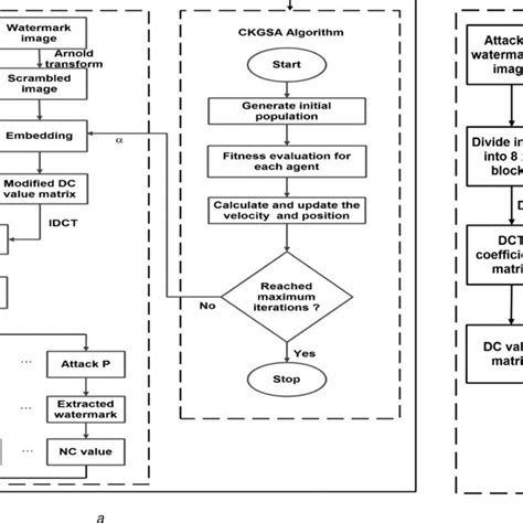 Proposed Ds‐ckgsa Watermarking Technique A Watermark Embedding Phase Download Scientific