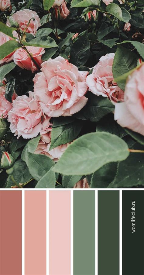 Розовый и зеленый сочетание цветов Sage Color Palette Color Schemes Decor Color Schemes