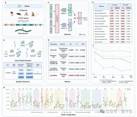 阿里云开源首个统一生物语言大模型LucaOne AET 电子技术应用