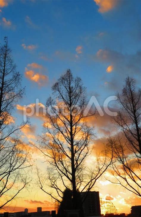 冬の夕焼け空 No 23189305｜写真素材なら「写真ac」無料（フリー）ダウンロードok