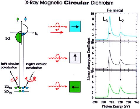 Figure 6 From Principles Of X Ray Magnetic Dichroism Spectromicroscopy