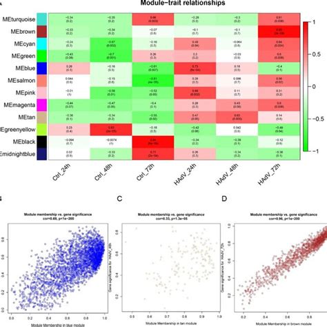 A Correlation Heatmap Between Modules And Hadv 7 Infection Each Cell