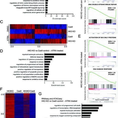 Rnaseq And Atacseq Analysis Reveal Enrichment And Increased Download Scientific Diagram
