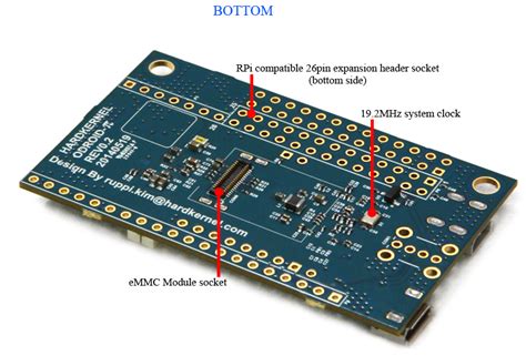 Odroid W Raspberry Pi Klon für Fortgeschrittene Golem de