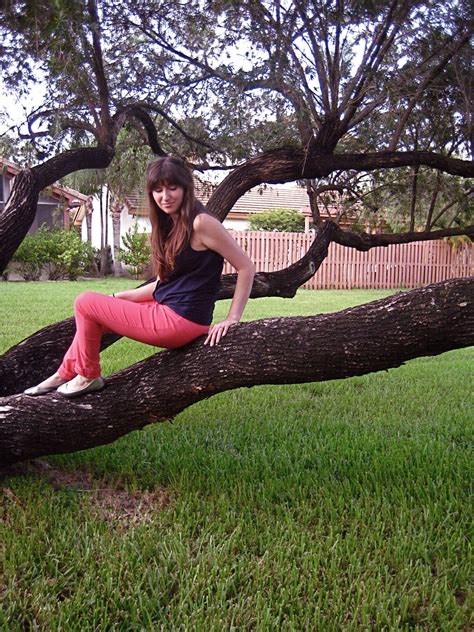 The Blue Curtain Tree Tops