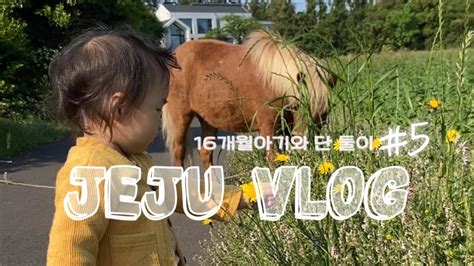 제주브이로그 5 아기와 단 둘이 보름살기 조천읍 서문시장 일정 없음 핫플 안감 Youtube