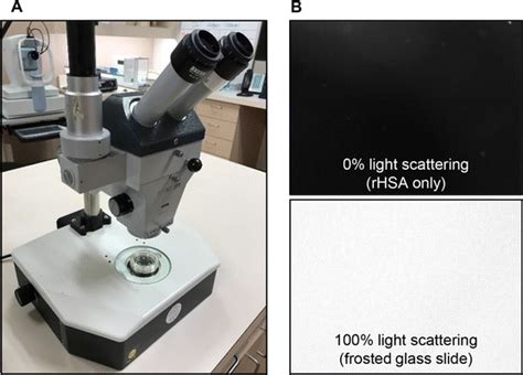 Dark Field Microscopy And Light Scattering References A Dark Field