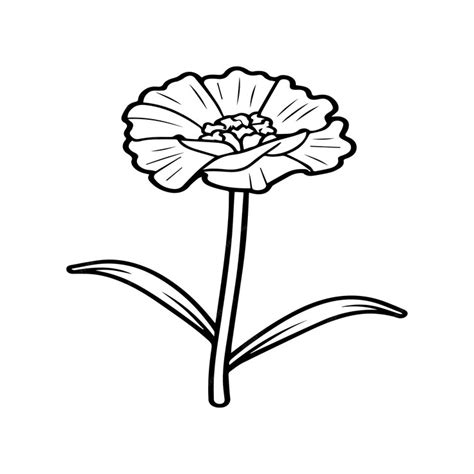 카네이션 꽃 컬러링 페이지 카네션 꽃 윤 터 프리미엄 벡터