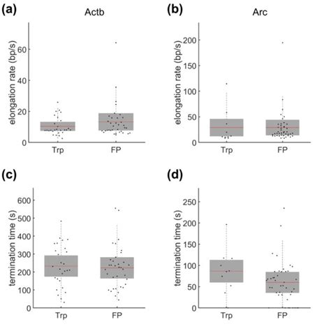 Imaging Transcription Using Ms2 And Pp7 Stem Loop Systems A B Download Scientific Diagram