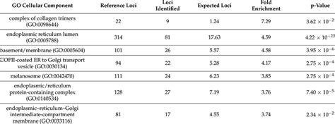Go Cellular Component Analysis With Fishers Exact Test And Bonferroni