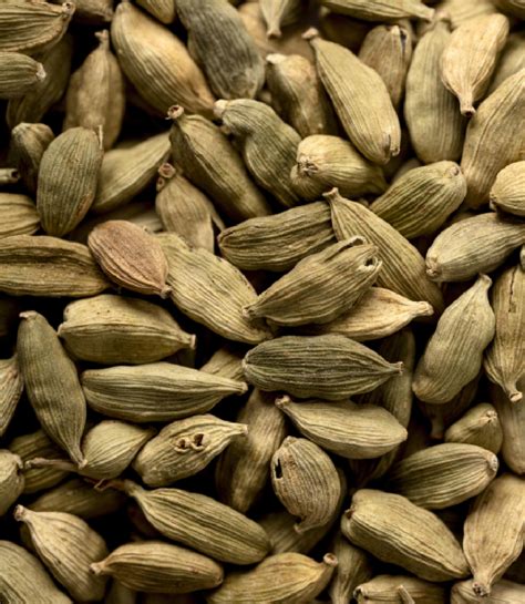 Cardamom – Dhinu Lanka