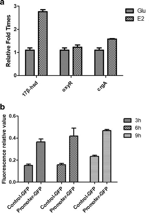 The Transcription And Expression Analysis Of 17β Hsd Gene A The