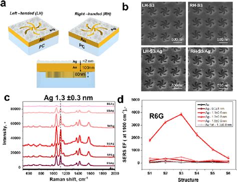 A Schematic Description Of Plasmon Active Sers Substrates With