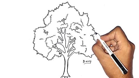 تعليم الرسم كيف ترسم شجرة جميلة للاطفال Youtube