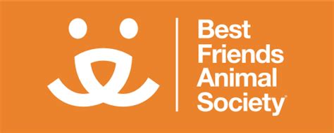 Application Development Using Serverless Build Ai Powered Software