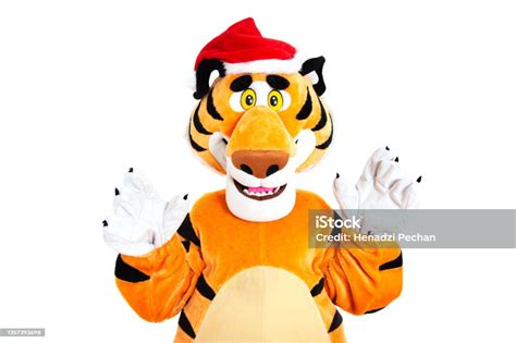 오렌지 봉제 새해 호랑이 에 빨간 산타 클로스 모자 그의 머리에 흰색 배경 격리 크리스마스와 새해 2022 12월에 대한 스톡 사진 및 기타 이미지 Istock
