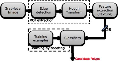 Proposed Diagram For The Detection Of Polyps Within Videoendoscopy Images Download Scientific