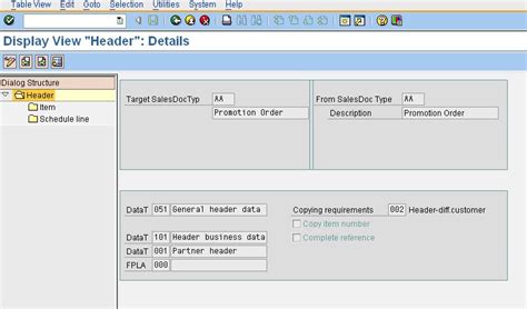 Sap Sd Free Material Copy Control Settings Screenshots
