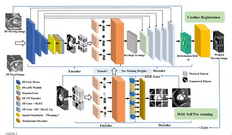 Masked Autoencoder Swin Transformer At Samara Smalling Blog
