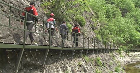 삼척 덕풍계곡 철제 탐방로 생태계 훼손 우려