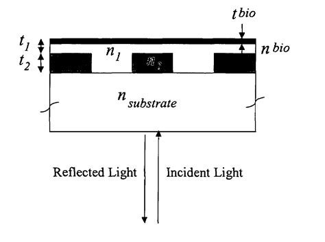 Optical Biosensor Patented Technology Retrieval Search Results Eureka Patsnap