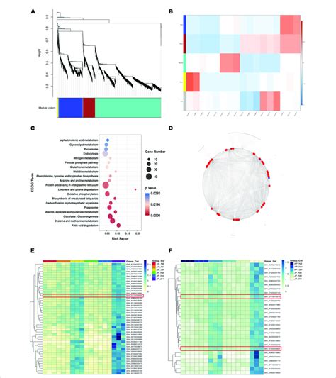 a overview of a weighted correlation network analysis based on