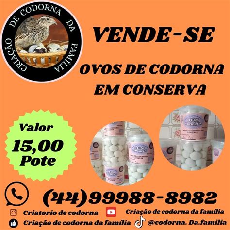 Criatorio De Codorna Criatoriodafamilacodorna • Instagram Photos