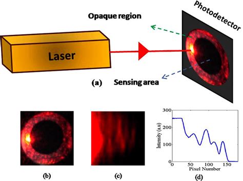 Diffraction Around The Edge Of A Photodetector A Experimental Scheme