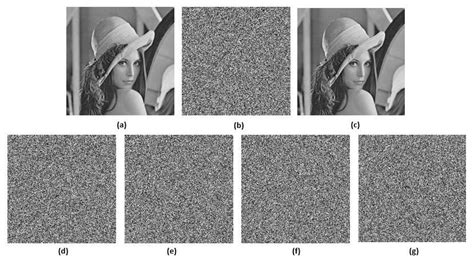 The Key Sensitivity Test Results A Lena B The Encrypted Image Of