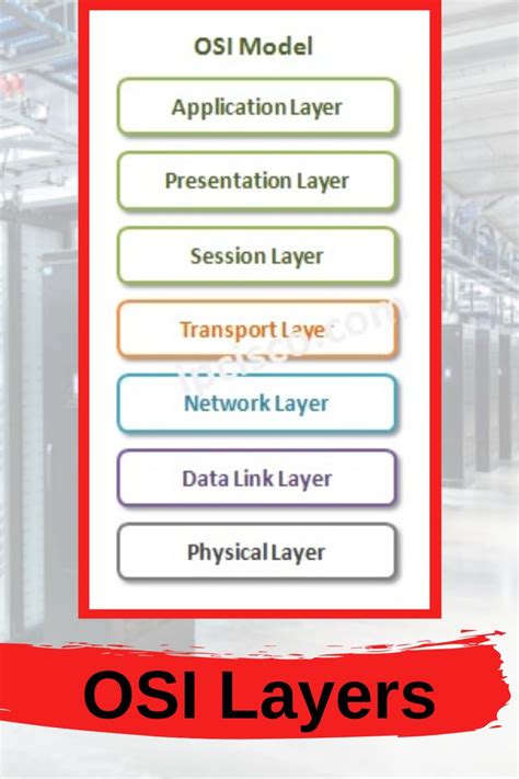 osi model layers osi model networking basics ccna